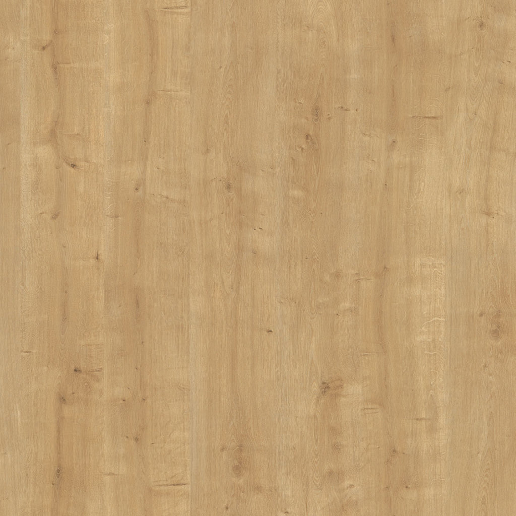 Natural Hamilton Oak | Samples | Mandai Design